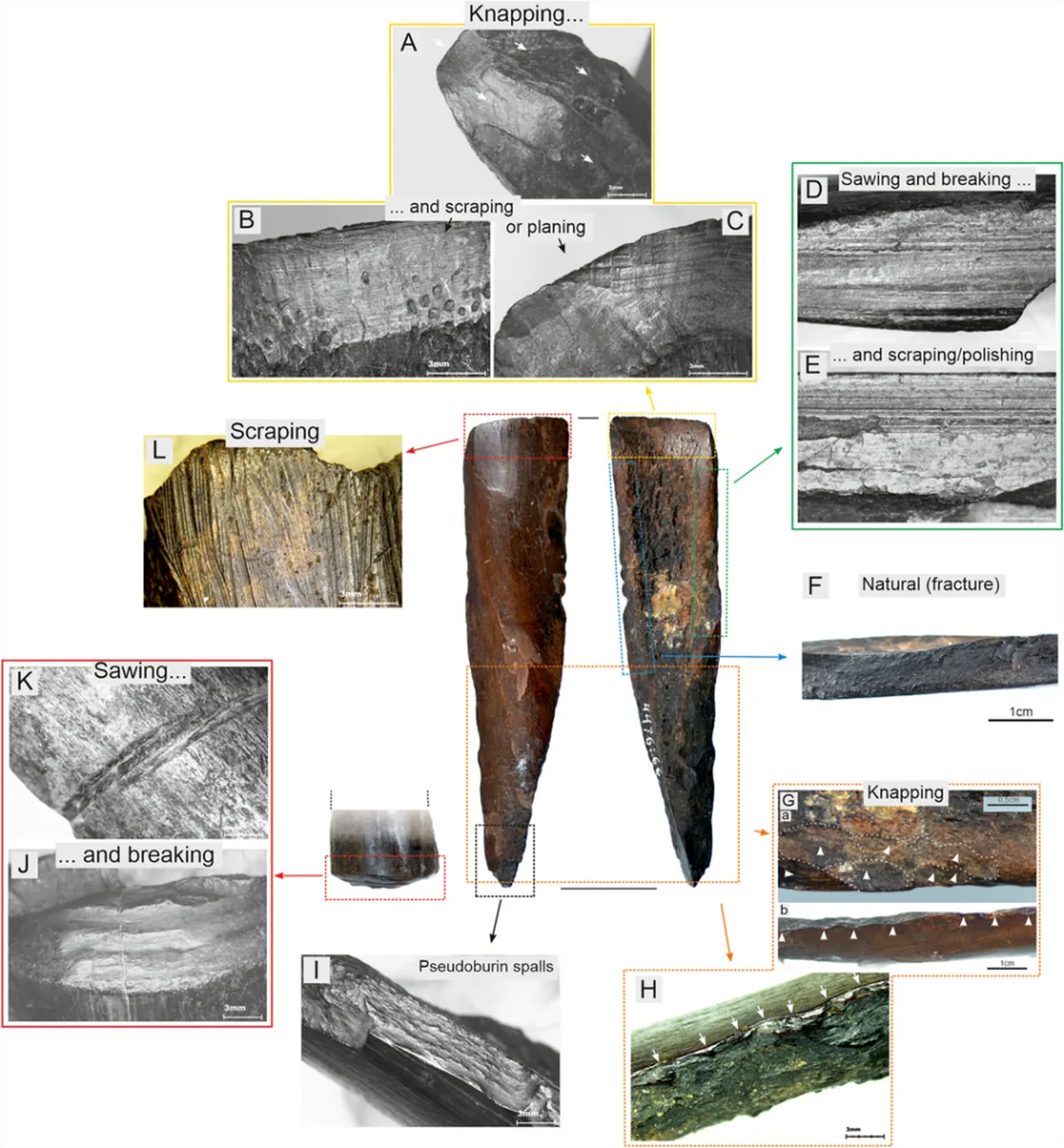 La Arqueología Experimental Desvela el Uso de Herramientas Óseas en el ...