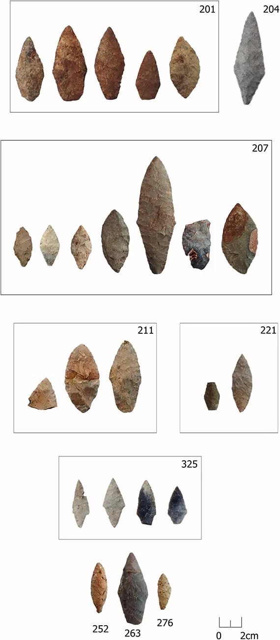 Igualdad de género en los entierros de la Edad de Piedra en Letonia ...